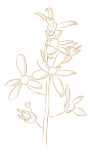 Stay at Arkaba – Arkaba