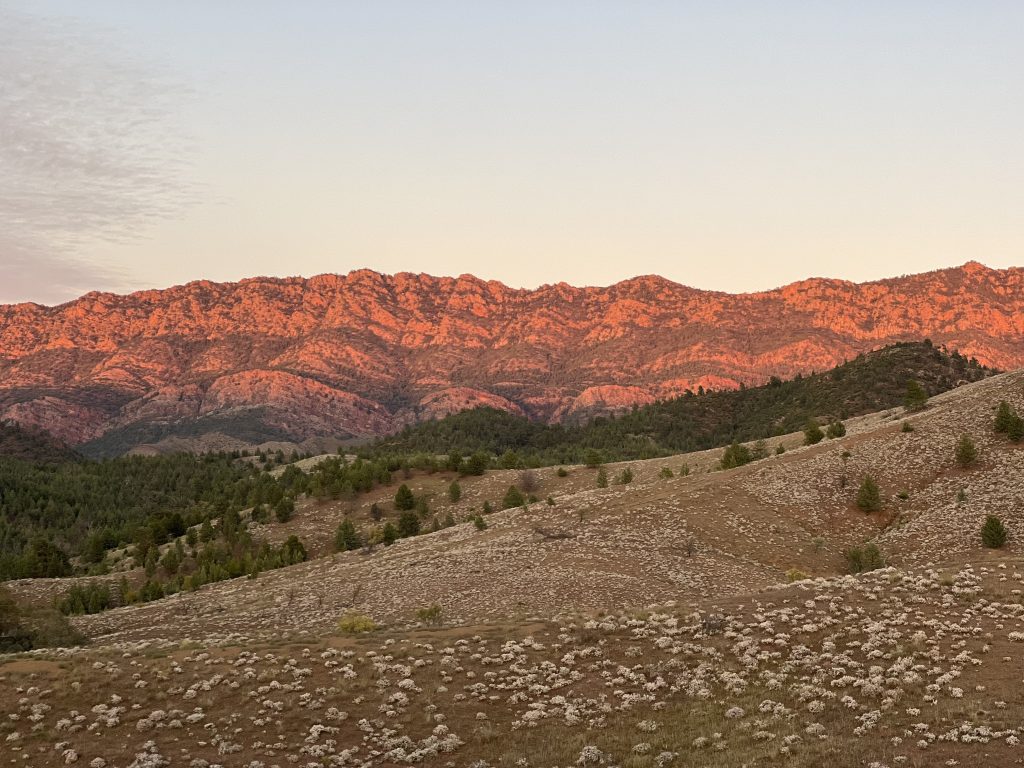Flinders Ranges – Arkaba