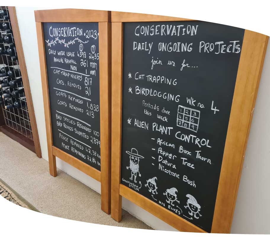 Arkaba November Conservation Report – Arkaba